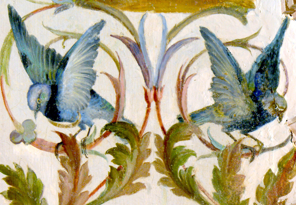 U.S. Senate: Rock Pigeon